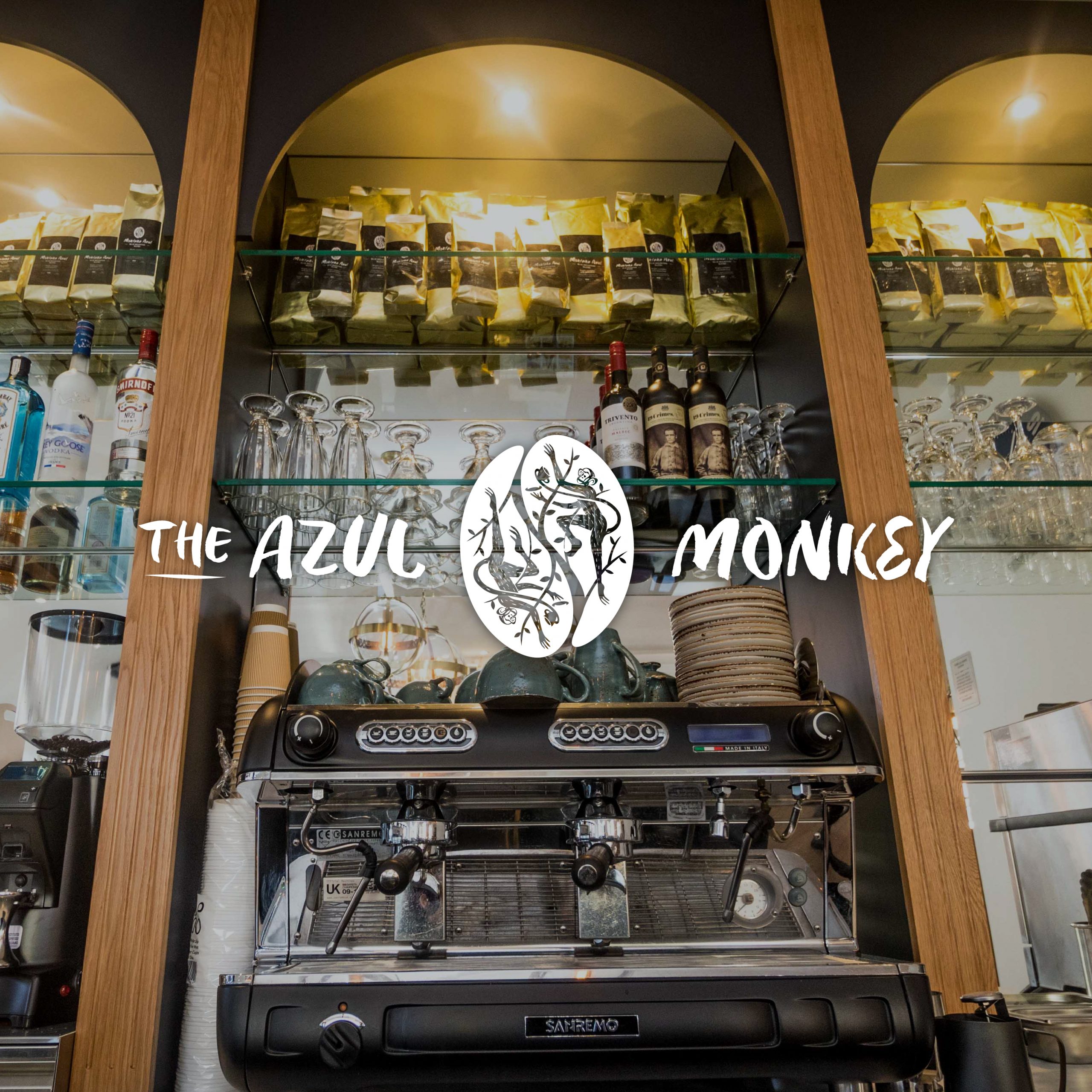 The Azul Monkey | hlg. : hlg.
